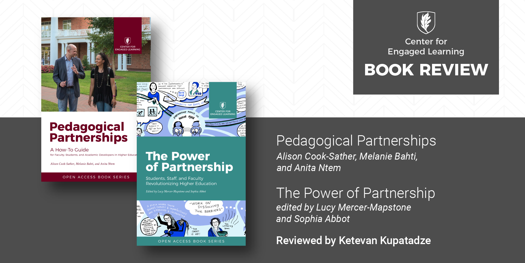 Pedagogical Partnerships and The Power of Partnership: A Roadmap to ...
