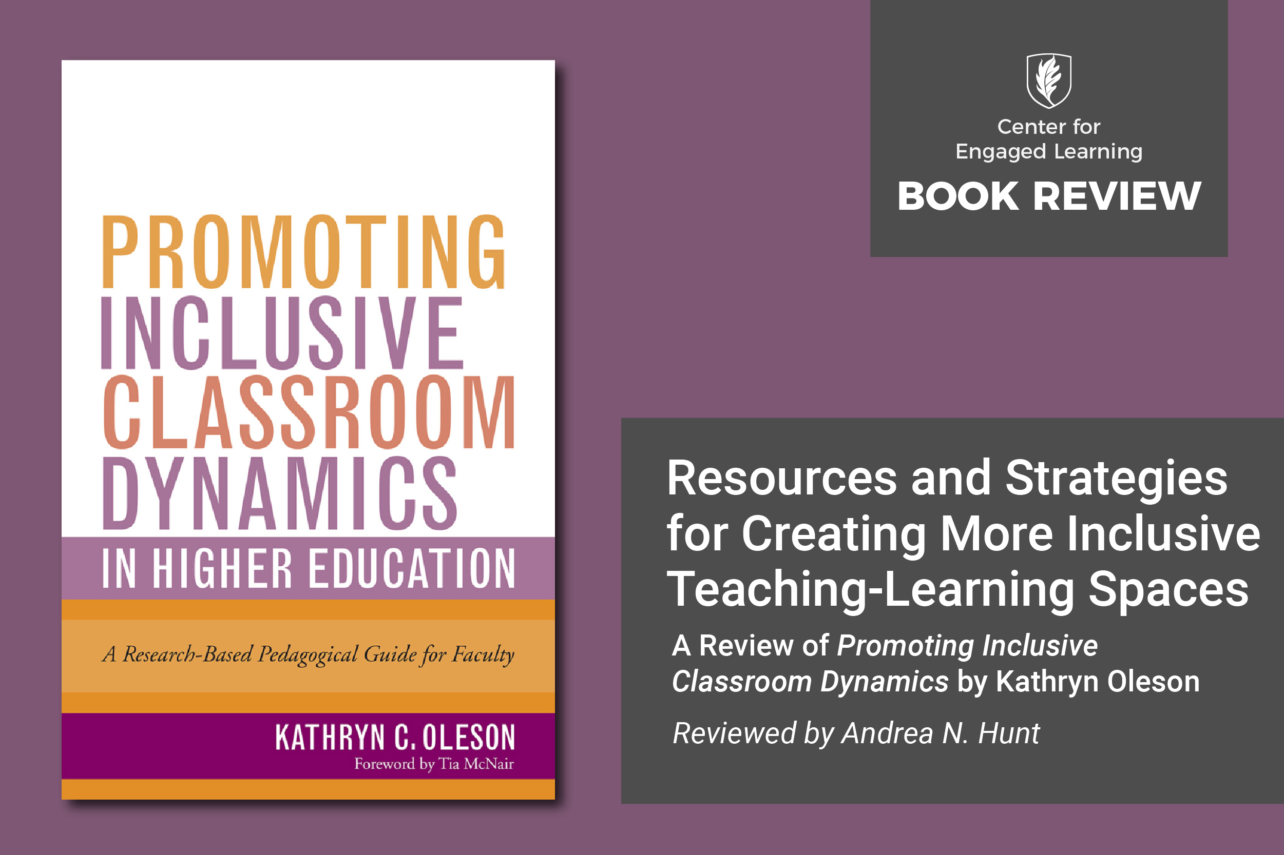 Resources and Strategies for Creating More Inclusive Teaching-Learning ...